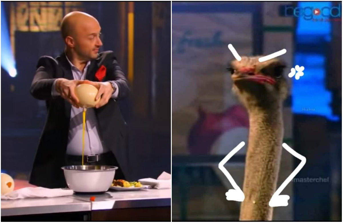 Giám khảo MasterChef bị dân mạng đào lại clip đập trứng đà điểu ngay ...